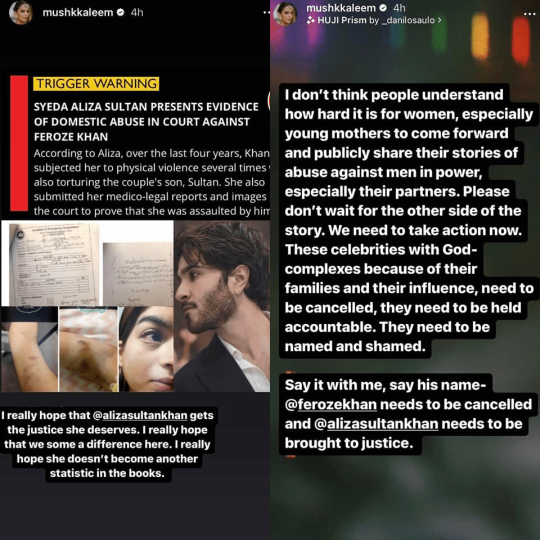 Celebrities root for Aliza Sultan after she submits domestic violence ...