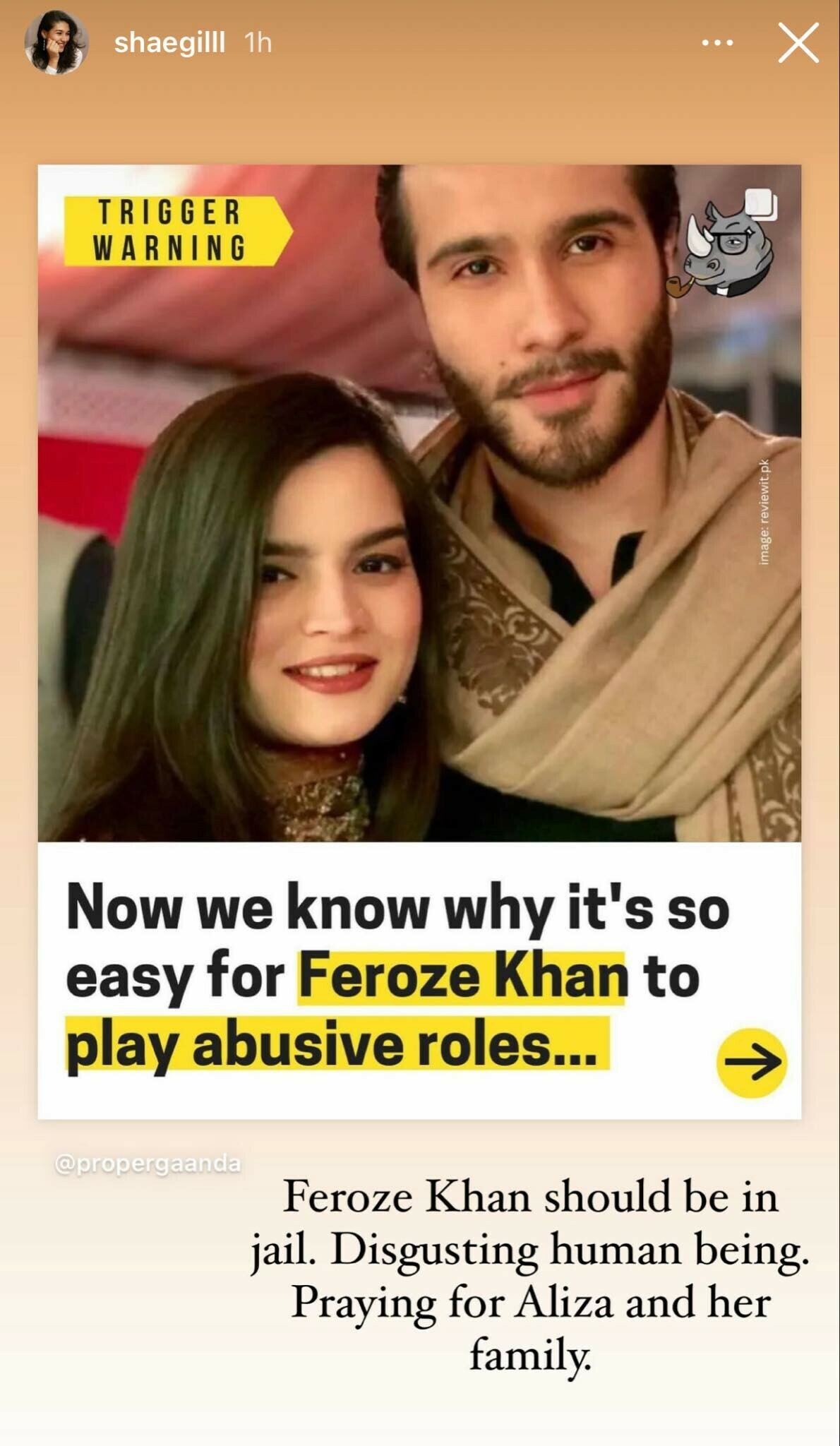 Celebrities root for Aliza Sultan after she submits domestic violence ...